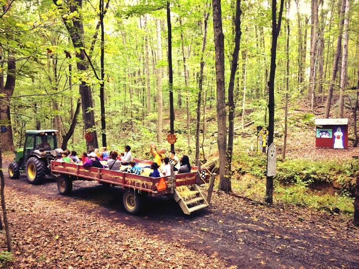 Best Fall Festivals in the Region - Baltimore Magazine