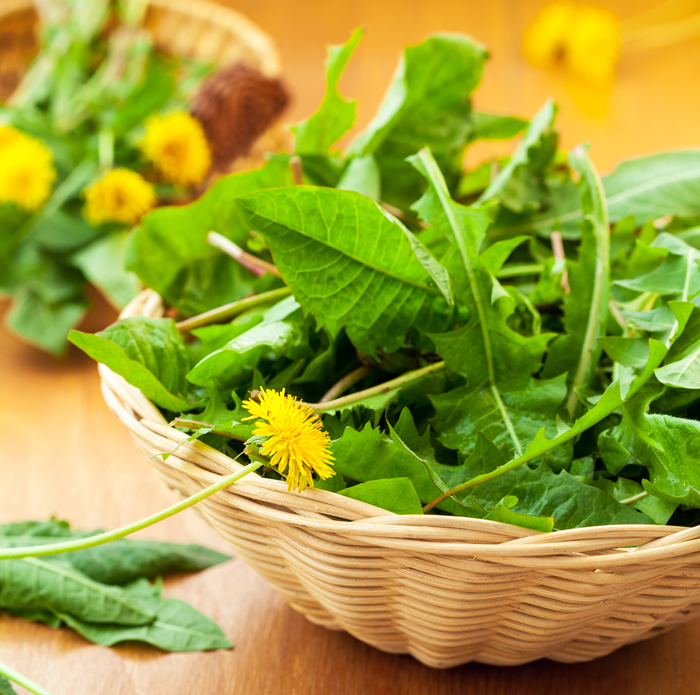 Guide to Edible Plants - Baltimore Magazine