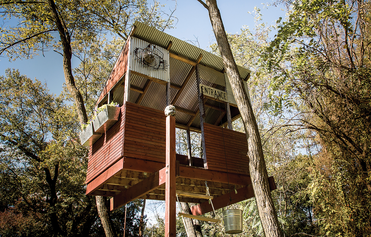 Nest: Tree Hugger - Baltimore Magazine