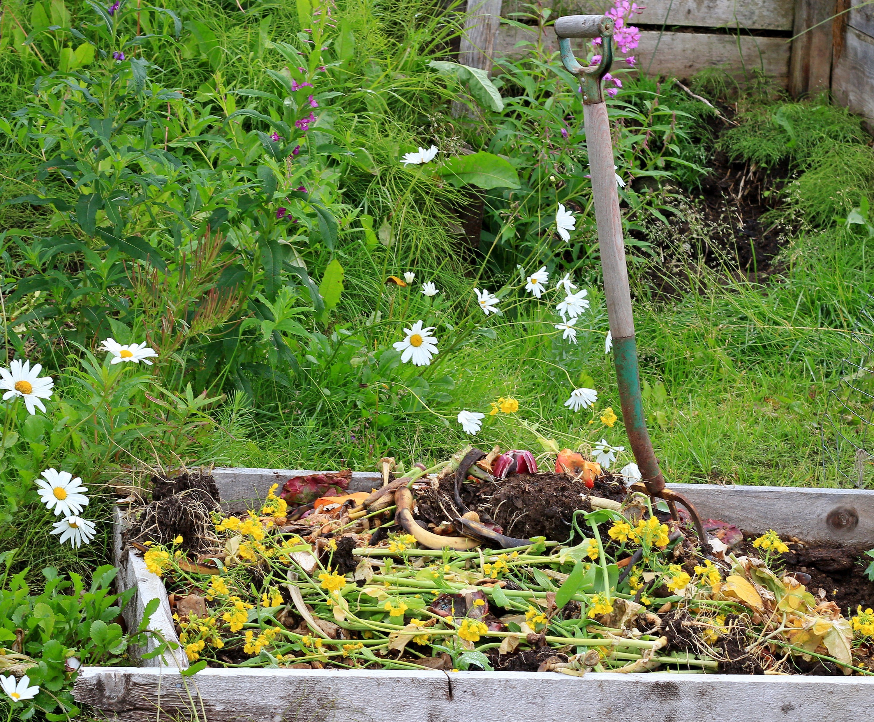 A Beginner’s Guide To Composting - Baltimore Magazine